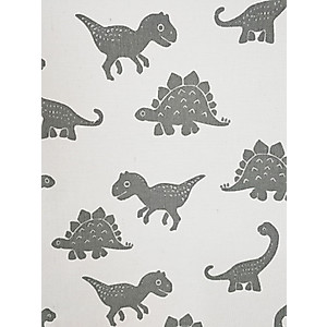 HUAYEE Squrage Storage Bin Canvas Fabric Storage Basket, Waterproof Coating Toy Organizer with Handles, Gift Basket for Home, Office, Clothes, Toy, Shelf Basket (Square Gray Dinosaur)
