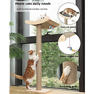 Window Cat Perch with Scratching Posts, 46" Wood Tree Bed for Large Inside Cats Climbing, Perching and Lounging, Mounted with 3 Strong Suction Cups (Wood Platform)