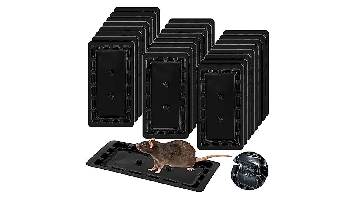 30 Pcs Sticky Mouse Trap - Effective Indoor & Outdoor Solution