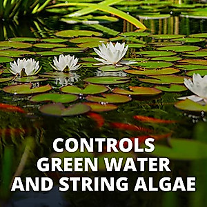 Tetra Pond AlgaeControl , 16.9 ounces, Controls Algae in Ornamental Outdoor Ponds and Fountains