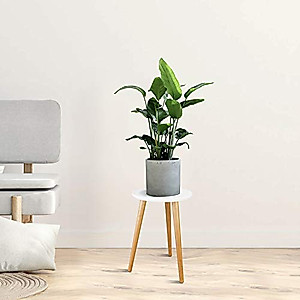 Uneedem Indoor Plant Stand Wood Mid Century Plant Stand for Indoor Plants, Modern Plant Table, Tall Plant Holder for Flower Pots, Small Round Side Table, End Table(A2 White, High: 16.5")