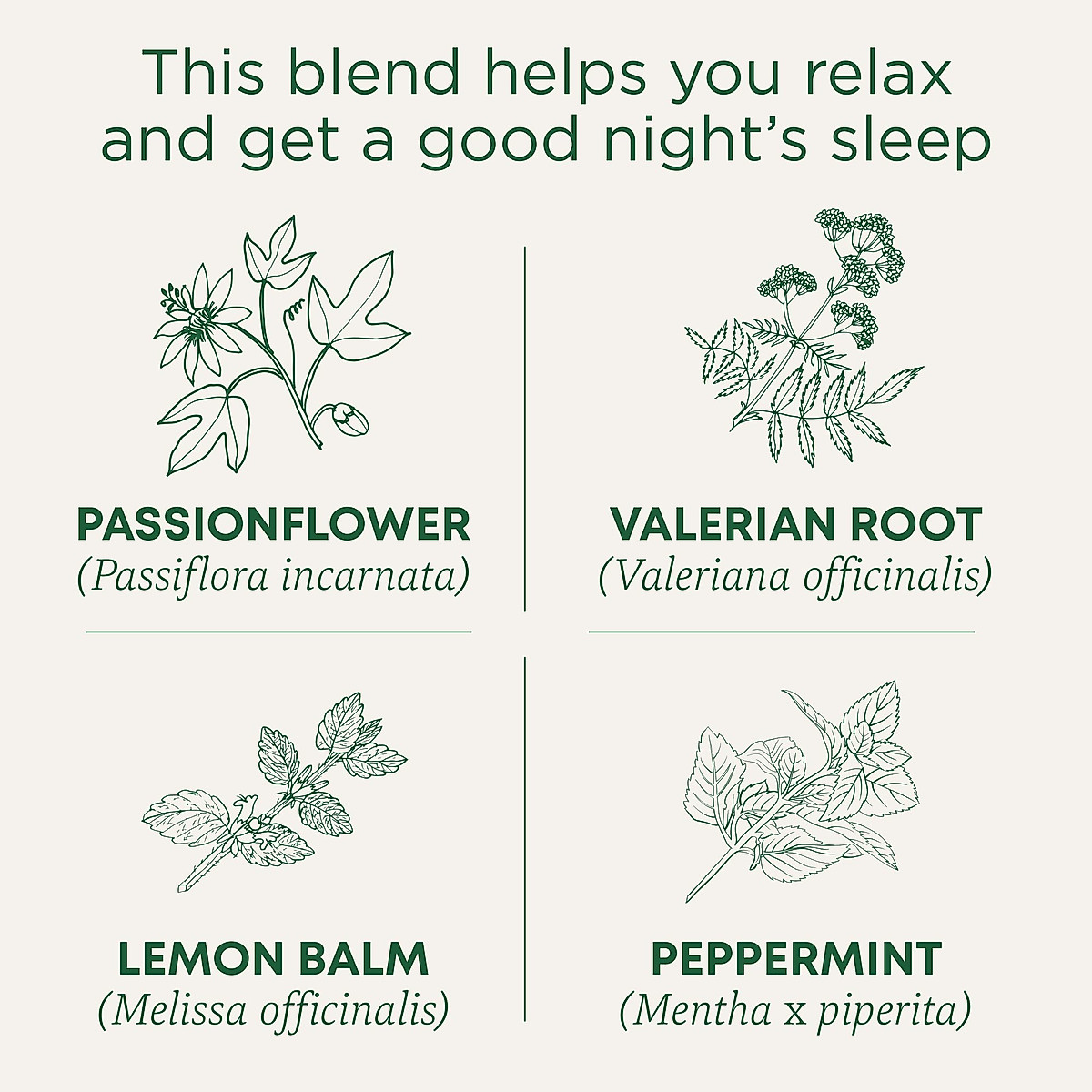 Traditional Medicinals Organic Nighty Night Valerian Relaxation Tea, 16 Tea Bags (Pack of 1)