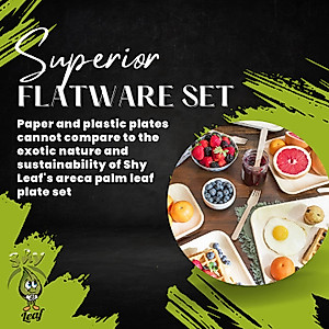 Shy Leaf Disposable Bamboo Plates (60 PLATES) + 120 Piece Wooden Cutlery Set - 8 inch & 10 inch Palm Leaf Plates - Party Plates - 100% Biodegradable & Eco Friendly Compostable Plate Set