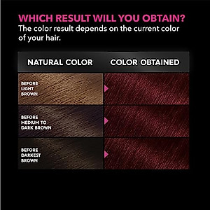 Garnier Hair Color Olia Ammonia-Free Brilliant Color Oil-Rich Permanent Hair Dye, 4.62 Dark Garnet Red, 1 Count (Packaging May Vary)