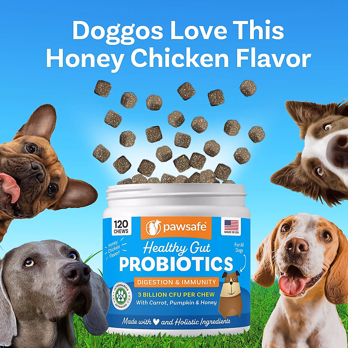 Dog Probiotics, Honey Chicken Flavor, 120 Soft Chews for Digestive & Gut Health, Immune Support Supplement, Gas Relief, Anti-Diarrhea, Helps with Allergies, Upset Stomachs, Yeast and Itchy Skin
