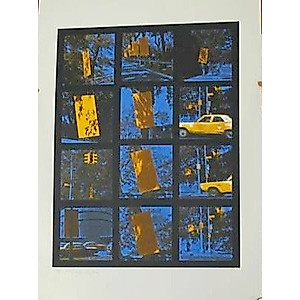 Menashe Kadishman Central Park