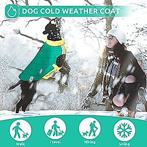 ABRRLO Dog Winter Coat Reflective Dog Harness Jacket Vest with D-Ring Leash Attachment Dog Cold Weather Coats Warm Pet Clothes Waterproof Dog Snow Jacket for Small Medium Large Dogs(Green,M)