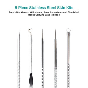 EZBASICS Facial Steamer Ionic Face Steamer for Home Facial, Warm Mist Humidifier Atomizer for Face Sauna Spa Sinuses Moisturizing, Unclogs Pores, with Stainless Steel Skin Kit(Blue)