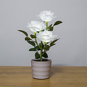 Solar Pot LED Light Rose Table Lamp 3 Lights LED Flexible Desk Lamp for Room Decoration (White)