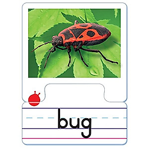 Key Education Big Box of Easy-To-Read Words Puzzles, Sight Words and Phonics Practice With Word and Photo Puzzle Pieces, Educational Games for Special Learners Ages 5+ (250 pc) , 1.5" x 2" - 2" x 2"