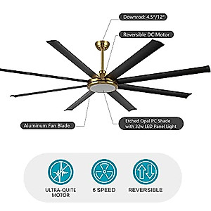 WINGBO 64" Ceiling Fan with Lights and Remote Control, Brass and Black Ceiling Fan, 8 Aluminum Blades, 6-Speed Reversible DC Motor, Modern Ceiling Fan for Kitchen Bedroom Living Room, ETL Listed