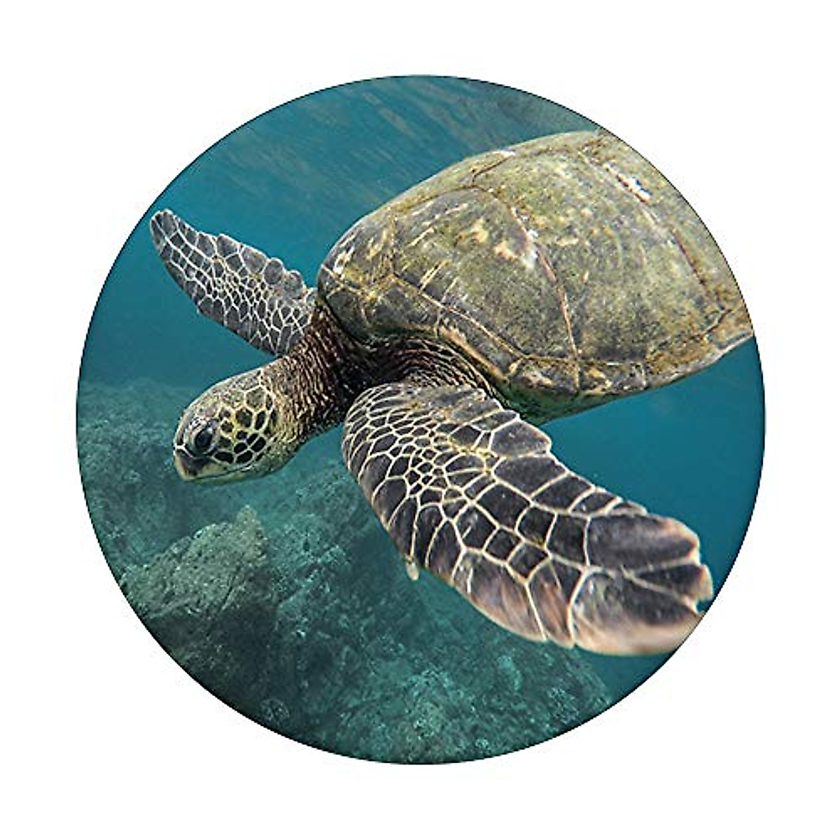 Pop out Cell Phones holder underwater Ocean Sea Turtles PopSockets Swappable PopGrip