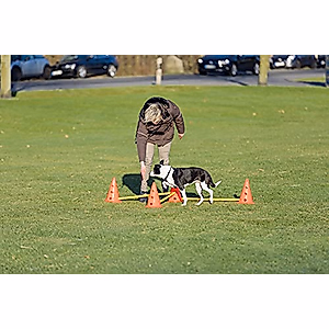TRIXIE Dog Agility Hurdle Cone Set, Portable Canine Agility Training Set, 6 Exercise Cones with 3 Agility Rods