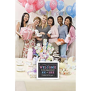 Katie Doodle Gender Reveal Decorations, Gender Reveal Games for Guests, Baby Boy or Girl Gender Reveal Party Supplies Kit - Includes 3 Game Posters (11x17), 1 Chalk Marker (Erasable), 3 Signs (8x10)