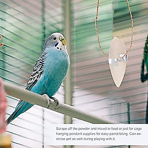 Hemobllo Cuttlebone for Birds- 6 Set Cuttlefish Bones with Metal Holder Parrot Cuddle Bone Chew Toy Pet Molar Toy Cuttlebone for Cockatiels Parakeets (10-12cm)