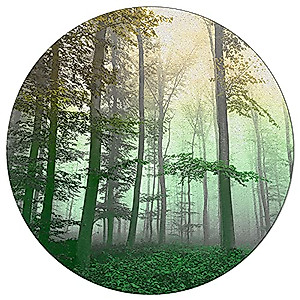 Ombre Yellow and Green Nature Forest Tree Fog Round Area Rugs Collection 5', Forest Fantasy Fog Magic Woodland Indoor Circular Throw Runner Rug Floor Mat Carpet for Living Room Bedroom Nursery Decor