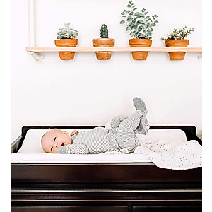 Burt's Bees Baby - Changing Pad Cover, 100% Organic Jersey Cotton Changing Pad Liner for Standard 16 x 32 Inch Changing Mats