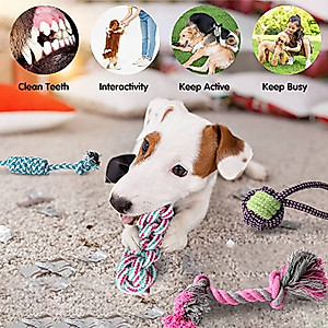 Derong Puppy Toys for Small Dogs, Teething Toys for Puppies,Cute Dog Toys for Small Dogs,Durable Chew Toys for Puppies,100% Natural Cotton Rope Chew Toys,Non-Toxic and Safe(7 Pack)