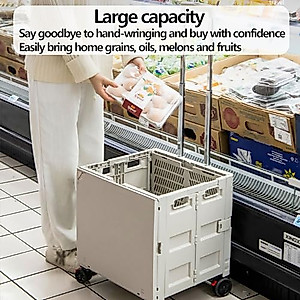 RINGGLO Collapsible Foldable Wagon Cart Outdoor Utility Wagon with Wheels, with Adjustable Push Pulling Handles,Big Wheels for Shopping, Picnic, Camping,Beige