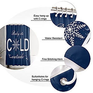 LBHAUSE Waterproof Fabric Shower Curtain, Christmas Shower Curtain for Bathroom Curtains Bathtubs Hotel Washable Shower Curtains with 12 Hooks Standard 60x72 Cold Winter Snowflakes Blue Backdrop