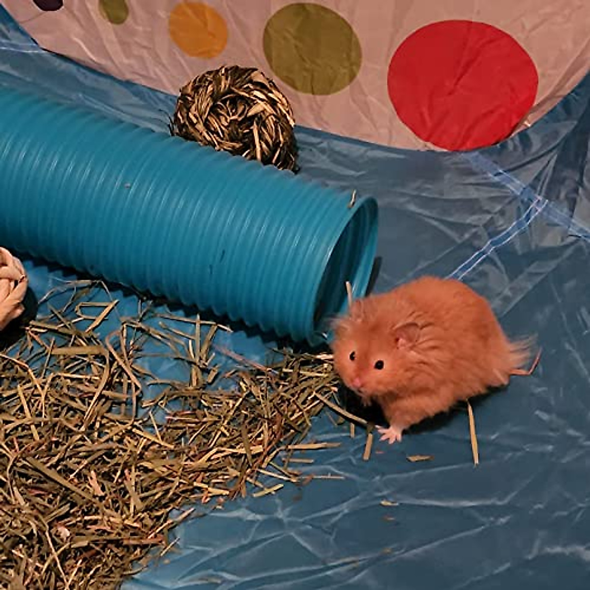 MUYG Plastic Hamster Fun Tunnels,Ferrets Foldable Exercising Training Tunnels Hamsters Hideout Tube 15 Pcs Small Animal Chew Toys for Guinea Pigs, Chinchillas, Rats, Gerbils (Blue)