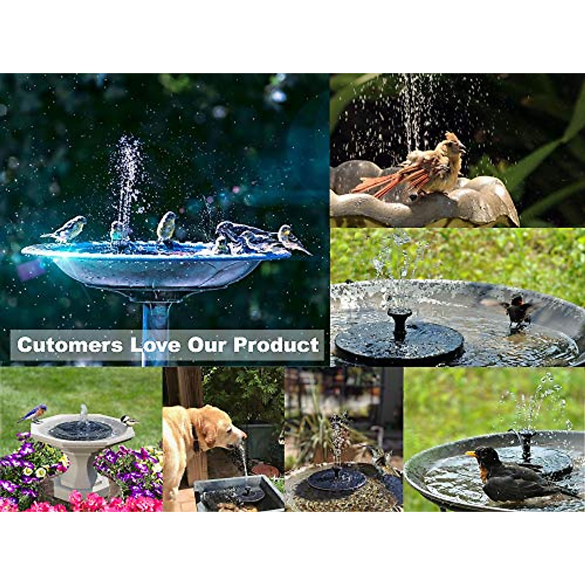 Solatec Solar Fountain, Solar Powered Bird Bath Fountain Pump 1.4W Solar Panel Kit Water Pump,Outdoor Watering Submersible Pump for Pond, Pool, Garden, Fish Tank, Aquarium