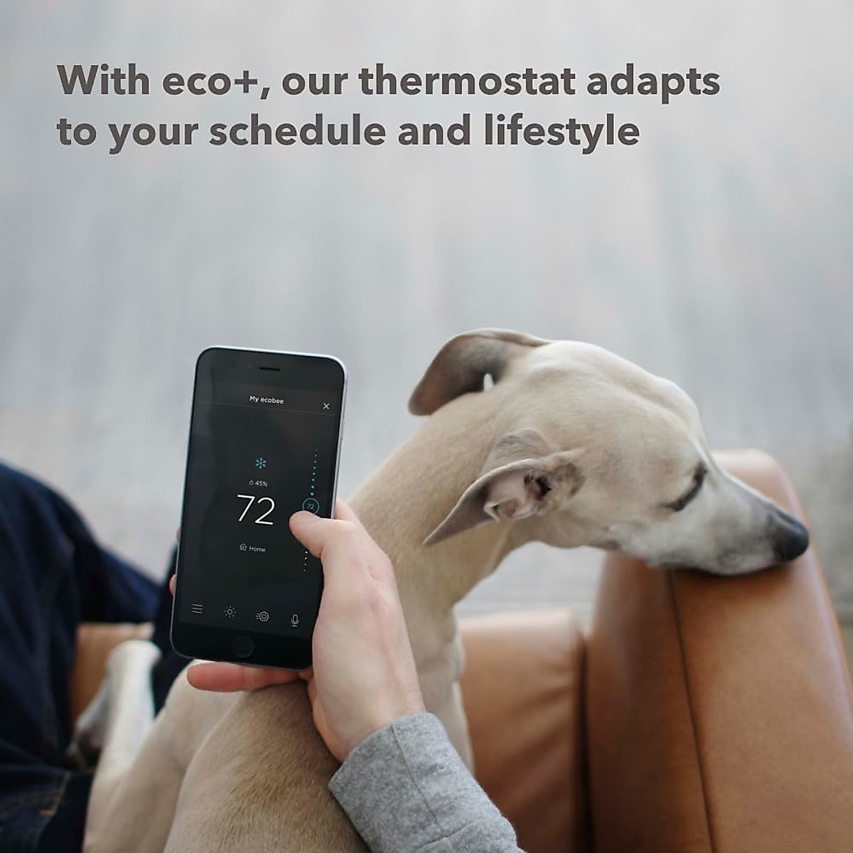 ecobee3 Lite Smart Thermostat with Whole Home Sensors Bundle (ecobee3 Lite Programmable WiFi Smart Thermostat, SmartSensor 1 Pack, SmartSensor for Doors & Windows 1 Pack) - Smart Home