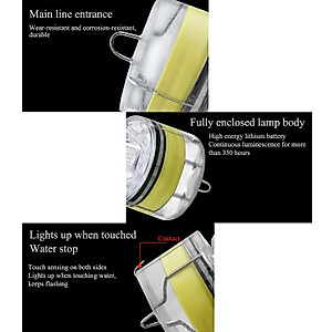 Edearkar LED Fishing Light Underwater 10-Pack Deep Drop Lights Waterproof Diamond Tubular Underwater Colorful Fishing Lure Light Attractants for Tuna Swordfish