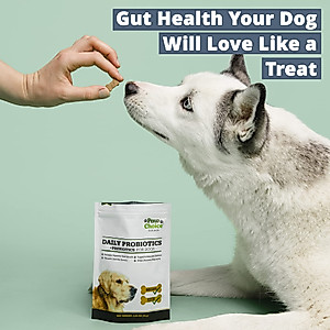 Paw Choice Probiotics for Dogs with Prebiotics - Daily Chews for Digestion, Regularity, Diarrhea Relief, Plus Supports Immune System and Health - Natural Supplement and Treat Made in USA