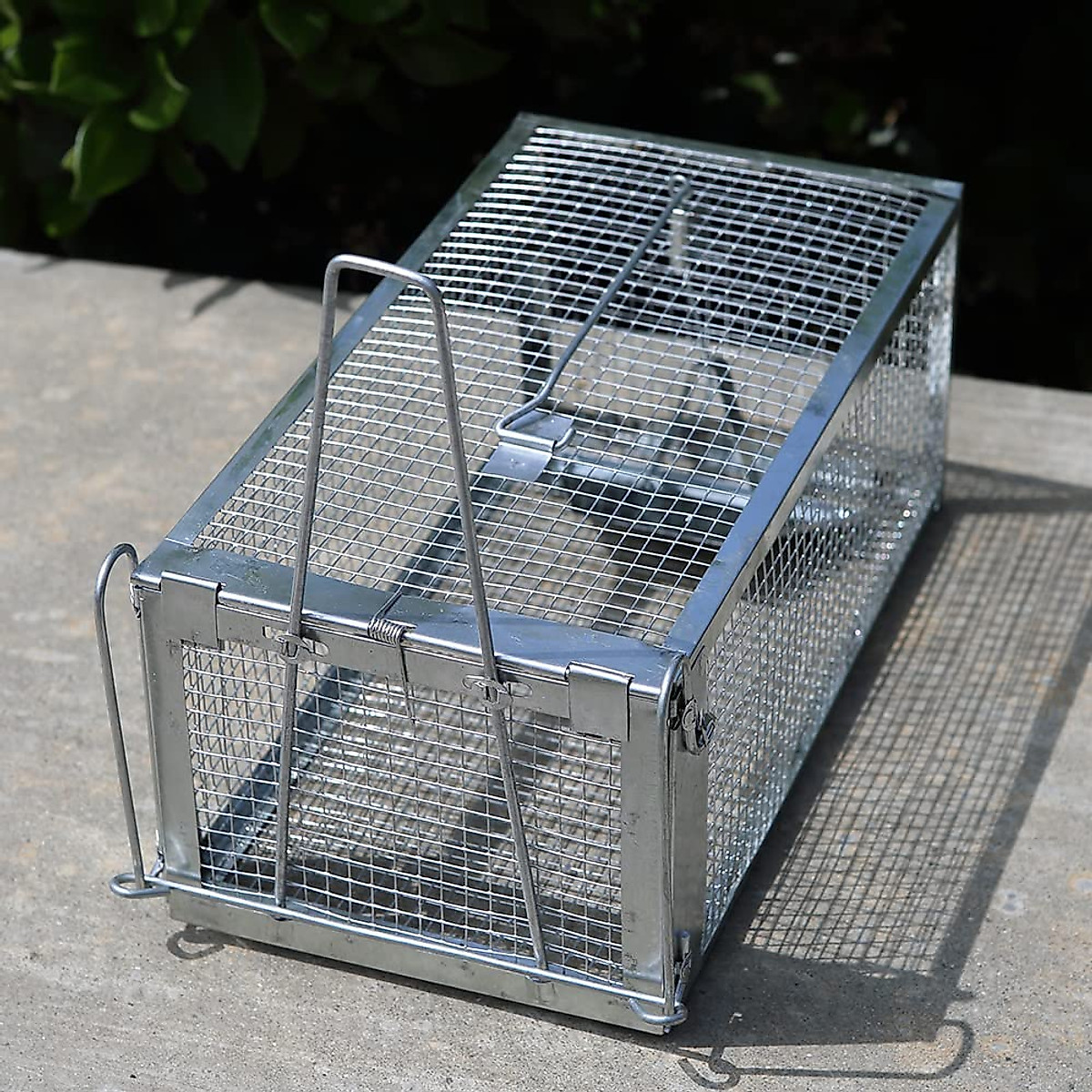 AOK Home Live Humane Cage Trap for Squirrel Mouse Rat Mice Rodent Animal Catcher for Indoor and Outdoor Small Animal 11x5.5x4.5 inch