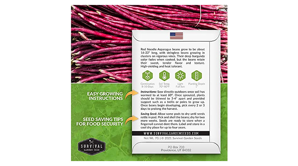Grow Long, Stringless Red Noodle Asparagus Beans | Heirloom Seeds