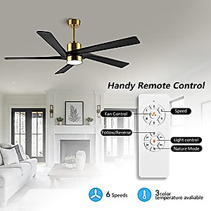 WINGBO 54 Inch DC Ceiling Fan with Lights and Remote Control, 5 Reversible Carved Wood Blades, 6-Speed Noiseless DC Motor, Modern Ceiling Fan in Brass Finish with Black Blades, ETL Listed