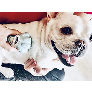 Ctpeng Dog Bath Brush,Soft Pet Shampoo Brush,Cat Massage Brush for Massaging Washing＆Bathing(Blue)