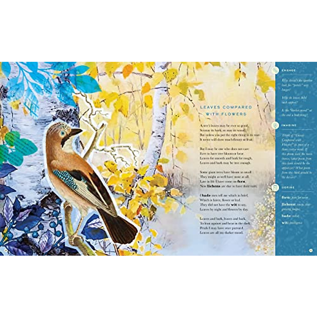 The Illustrated Robert Frost: 25 Essential Poems (The Illustrated Poets Collection, 2)