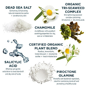 Sea Magik Mineral Shampoo 10.14fl oz - Sulfate Free Shampoo with Organic Seaweed/ 100% Vegan/ Sustainable Packaging