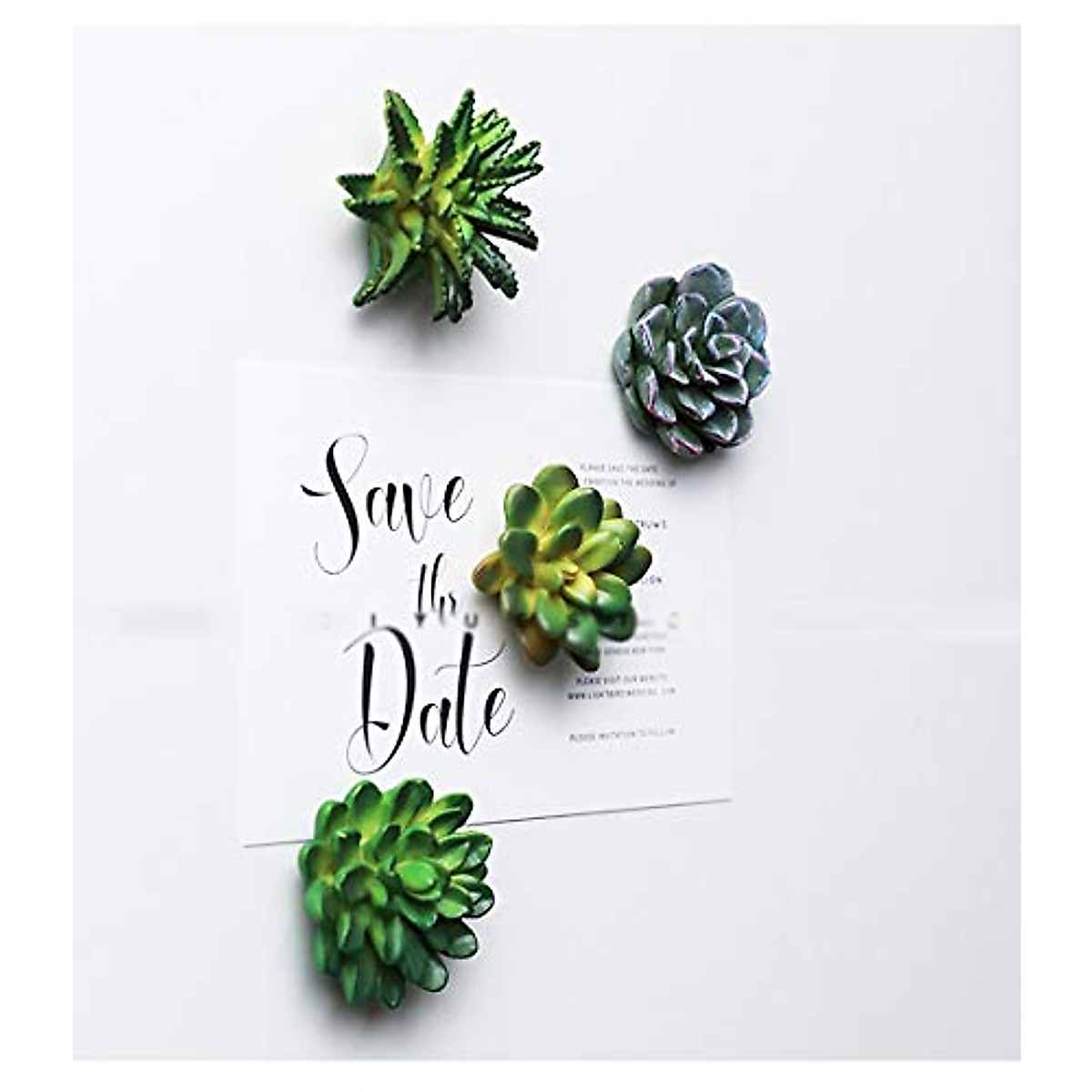 CoCoMe Funny 3D Resin Succulent Fridge Refrigerator Magnets, Set of 4