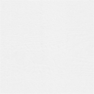 Bush Furniture Westbrook 60W Computer Desk with Hutch and Storage in White Ash | Farmhouse Desk for Home Office Workspace