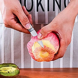 Paring Knife,all Steel Foldable Fruit Knife,fruit Knife Small of Exquisite,small and Easy to Carry,suitable for Most Types of Vegetables and Fruits(3 Pieces)