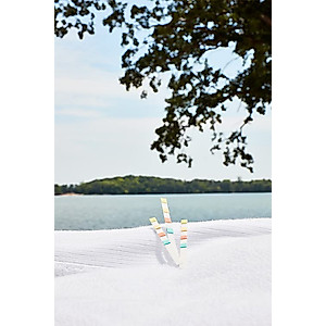 FROG @ease Test Strips for Hot Tubs for use only with FROG @ease In-Line and Floating Sanitizing Systems for Spas up to 600 gallons, Measures low levels of Chlorine, Quick and Easy Test Strips