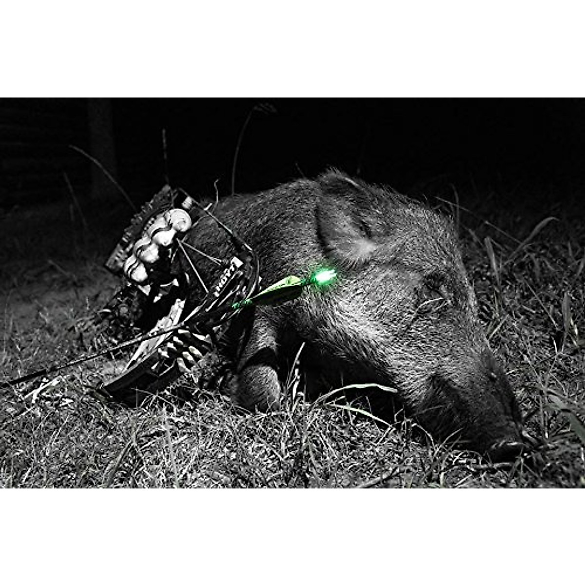 Nockturnal Lighted Nocks for Arrows with .246 / .244/204 Inside Diameter, Green