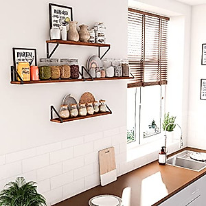 Wallniture Ponza Floating Shelves for Wall, 24" Rustic Wood Wall Shelves for Bedroom Decor, Living Room Book Shelves, Kitchen Organization Walnut Set of 4