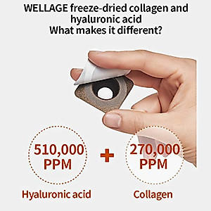 WELLAGE Real HA Bio Lift One Day Kit 7ea, Anti-Aging Serum with Concentrated Collagen, Bouncy and Firm Skin, High Nourishing Formula with 24K Gold and Peptides, Golden Ray for Aging and Loose Skin