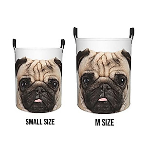 FeHuew Lovely Puppy Pug Portrait Collapsible Laundry Basket with Handle Waterproof Hamper Storage Organizer Large Bins for Dirty Clothes,toys