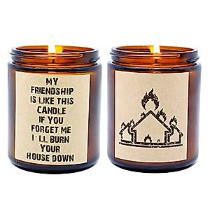 Funny My Friendship is Like This Candle Gift to Friends, Soy Wax Lavender, Eucalyptus Scented Candles to Best Friends