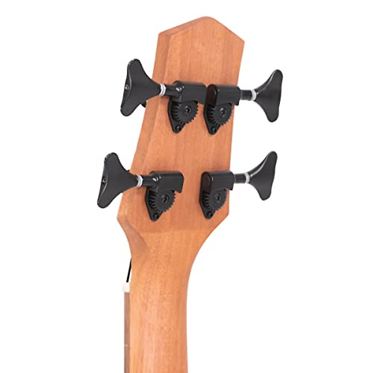 Gold Tone M-BassFL 23-Inch Scale Fretless Acoustic-Electric MicroBass with Gig Bag