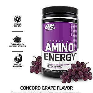 Optimum Nutrition Amino Energy - Pre Workout with Green Tea, BCAA, Amino Acids, Keto Friendly, Green Coffee Extract, Energy Powder - Concord Grape, 30 Servings