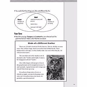 Hi-Lo Nonfiction Passages for Struggling Readers: Grades 4–5: 80 High-Interest/Low-Readability Passages With Comprehension Questions and Mini-Lessons for Teaching Key Reading Strategies