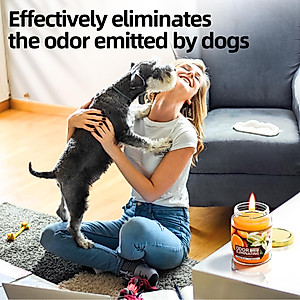 MicCai Orange & Vanilla Odor Eliminating Candles for Home Scented, Eliminates 99% of Pet, Smoke, Food and Other Smells Quickly, Highly Scented Candle, Premium Soy Candles Set for Women