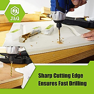 J&Q 1/16" Hex Shank Drill Bits, High Speed Steel Titanium Drill Bit Set for Steel, Quick Change Small Drill Bits for Metal (Pack of 12 Identical Pcs)