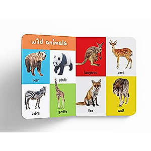 My First 100 Library: Boxset of 5 Early Learning Board Books